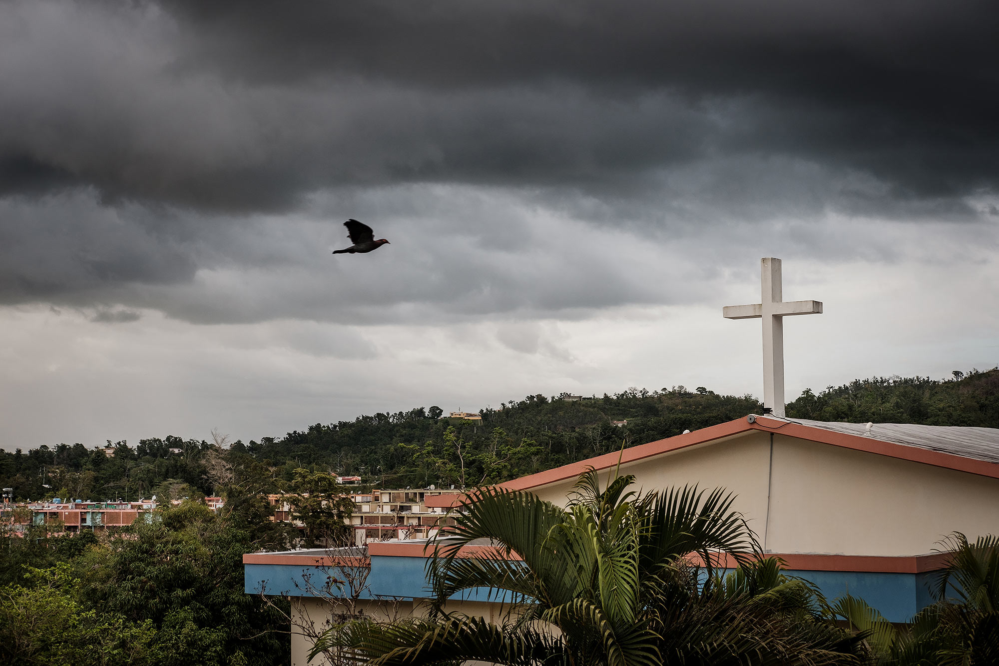 Changed by Storms - Engage